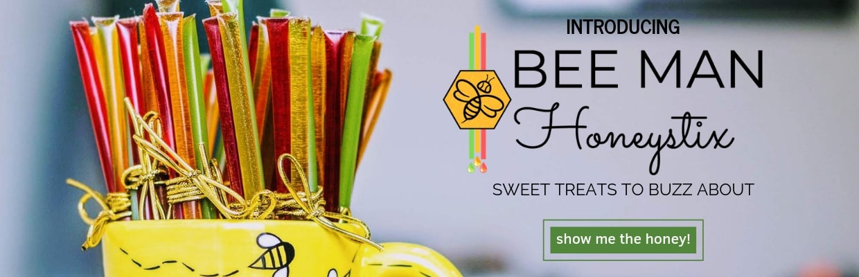 Experts in Yellow Jacket, Bee, and Wasp Removal | The Bee Man