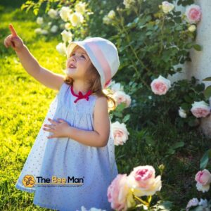 Bee Removal Experts in Orange County Advise Parents to Teach Their Kids ...