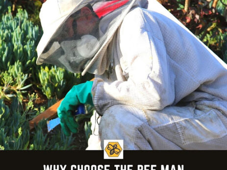 Blog - The Bee Man