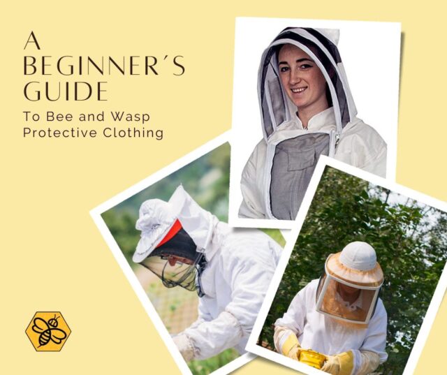 A Beginner’s Guide to Bee and Wasp Protective Clothing