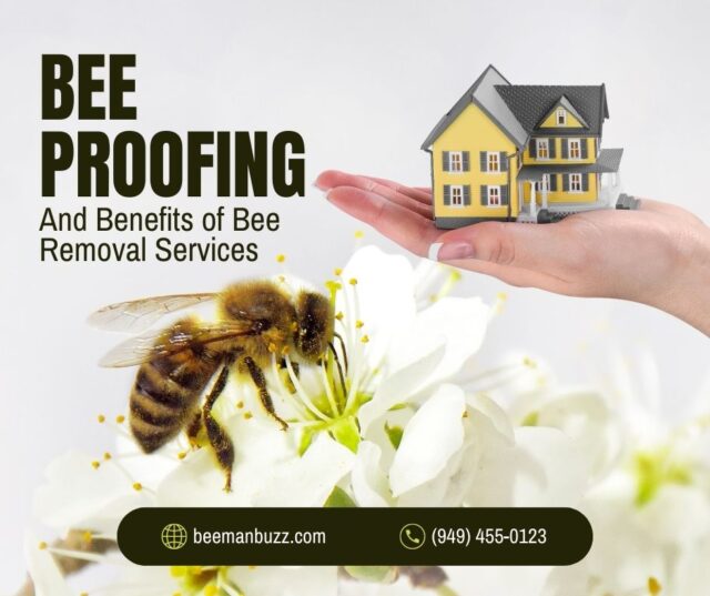 Bee Proofing and Benefits of Orange County Bee Removal Services