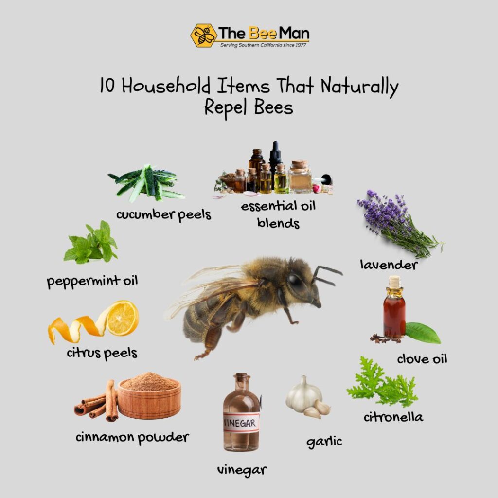 Natural Bee Repellents for Your Home