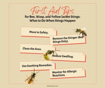 First Aid Tips for Bee, Wasp, and Yellow Jacket Stings: What to Do When ...